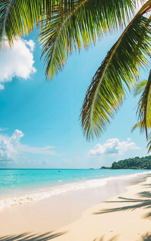 AMORE - Life & Leisure | A lifestyle Magazine from Puravankara